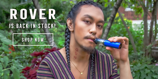 Dip Devices | Dab Pens and Electric Dab Straws